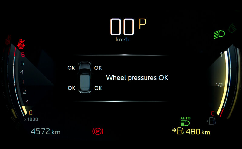 TPMS Light: Meaning, Error Codes And How To Reset